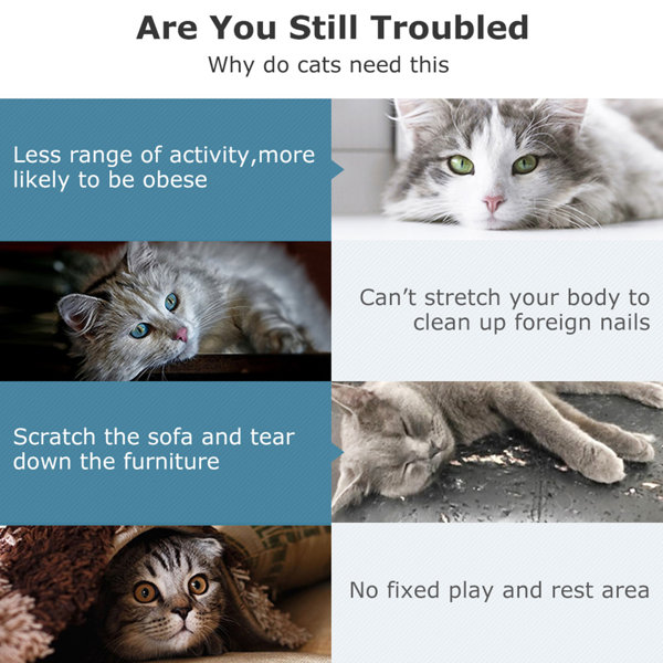 Tucker Murphy Pet™ 72" Fryar Cat Tree & Reviews | Wayfair