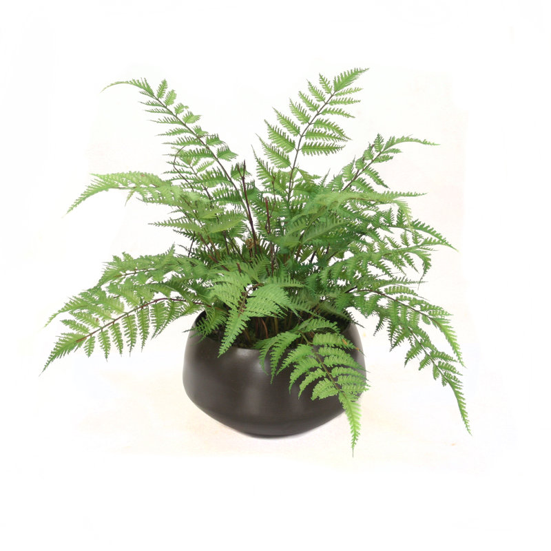 Primrue 16" Artificial Fern Plant in Planter | Wayfair