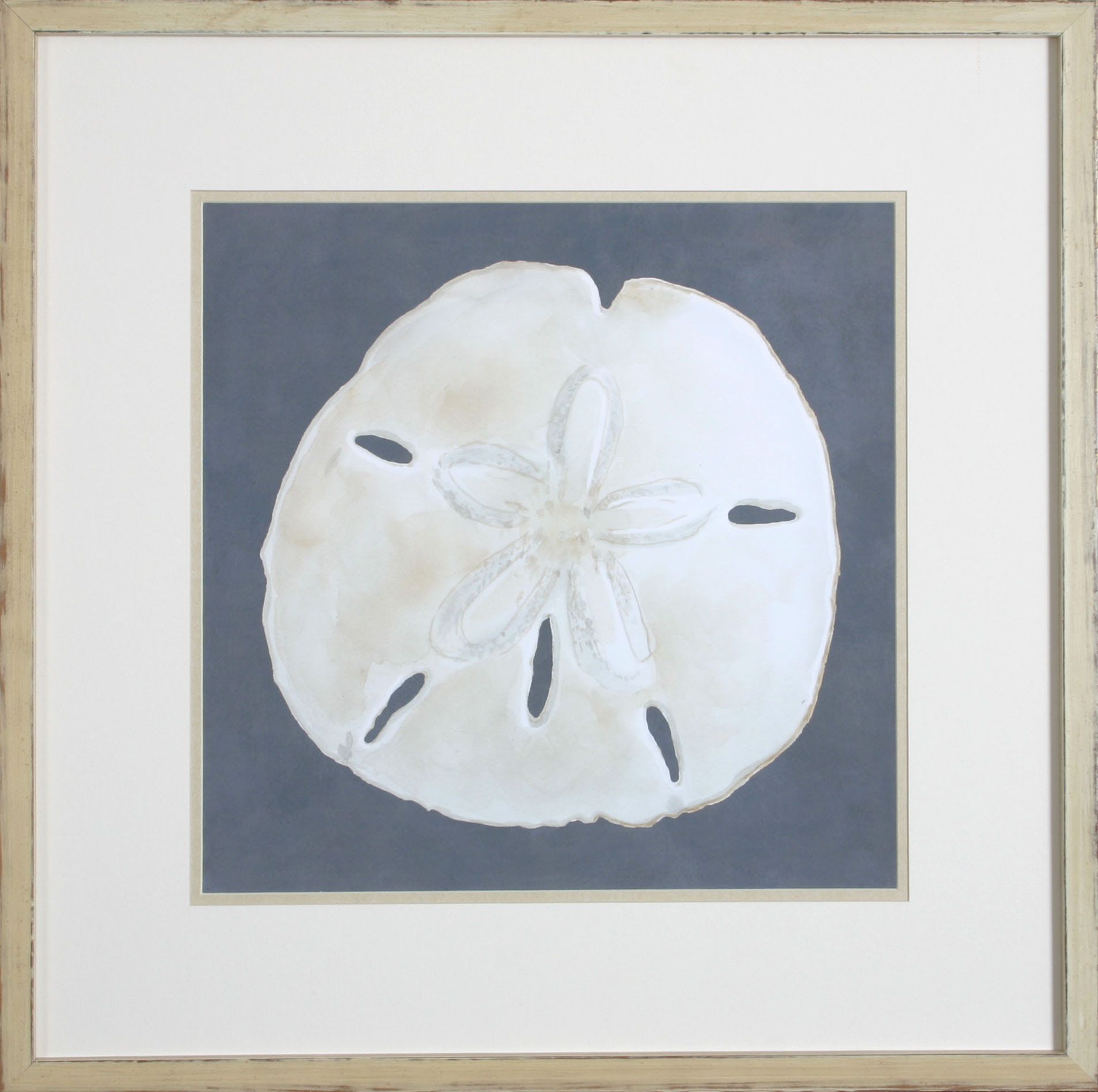 Shadow Catchers Shell on Slate II by Meagher - Picture Frame Drawing ...