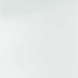 Winston Porter Keilyn Daybed with Trundle & Reviews | Wayfair