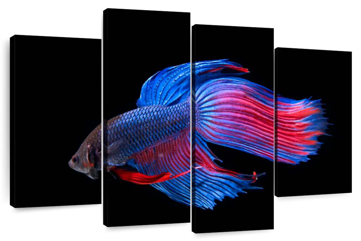 Ebern Designs Glowing Betta Fish - Wayfair Canada