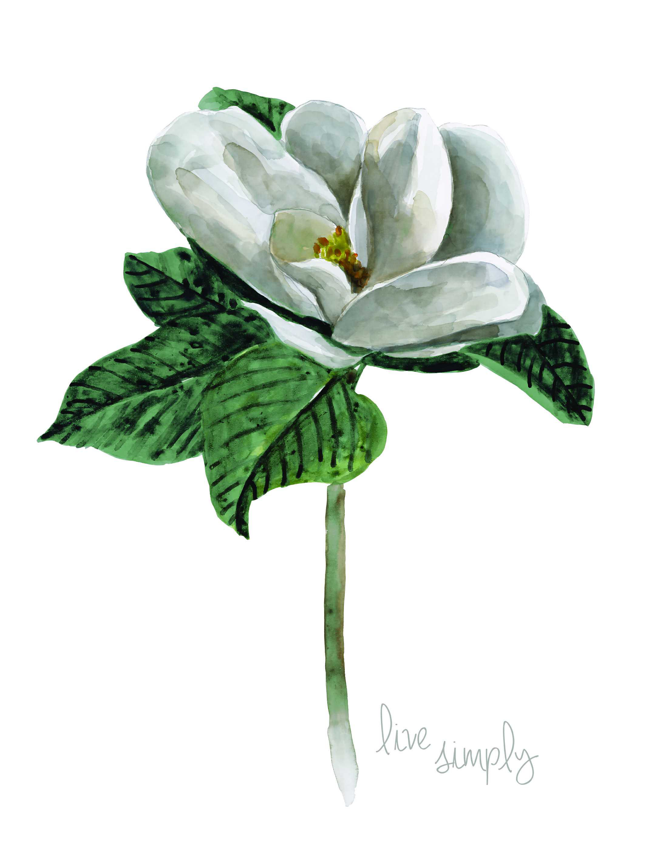 Winston Porter Magnolia Live Simply - Wrapped Canvas Print | Wayfair