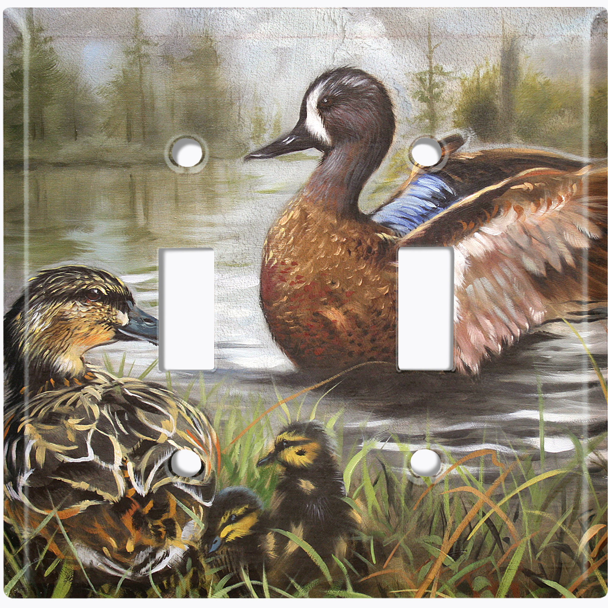 WorldAcc Cute Ducks Brown Baby Ducklings Lake Forest 2-Gang Toggle ...