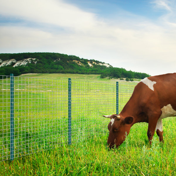 VEVOR 3 Feet Fence Post 10 Pack T-Post Heavy Duty Metal Fence Posts ...