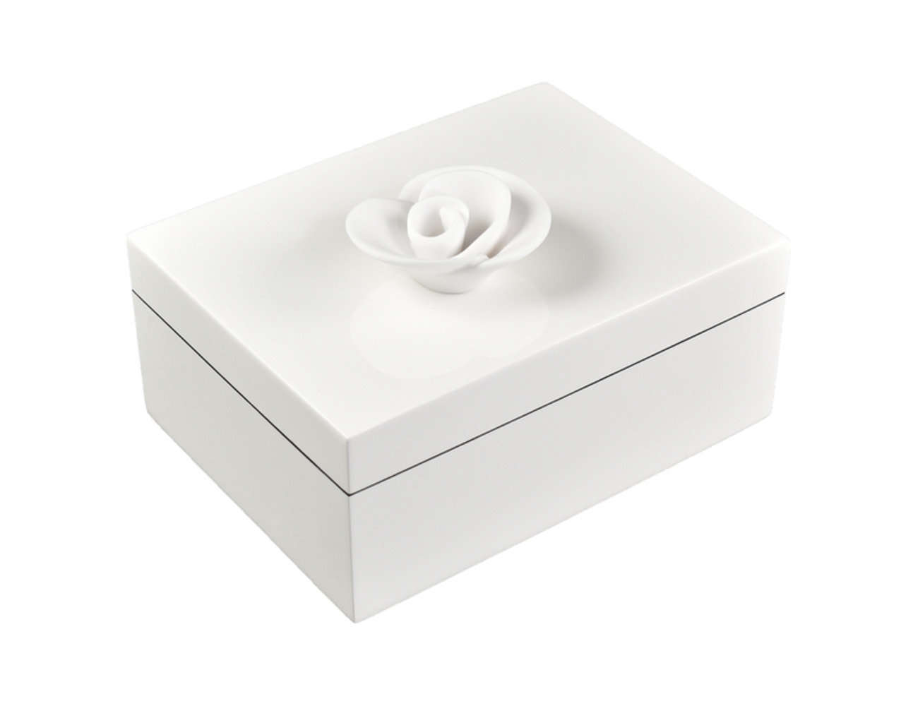 Pacific Connections Medium Box | Perigold