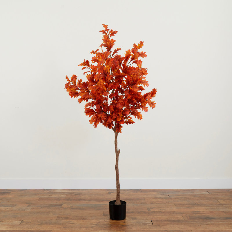 Primrue 72'' Faux Foliage Tree in Pot | Wayfair