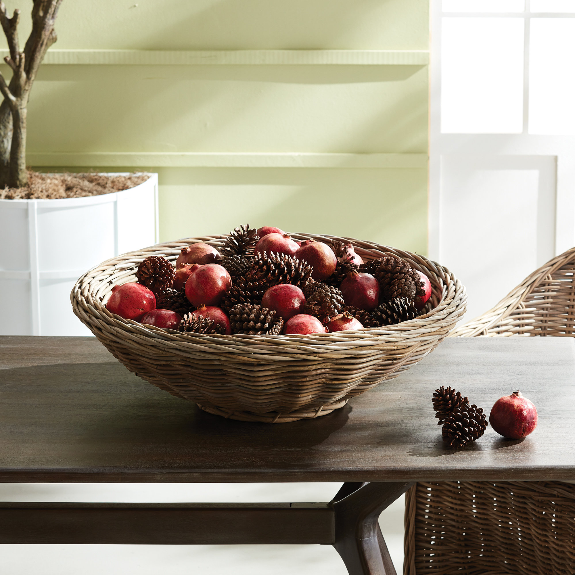 Birch Lane™ Irving Display Basket - Wayfair Canada