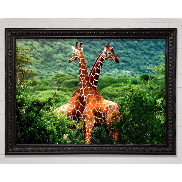 Bright Star Giraffes Africa - Single Picture Frame Print | Wayfair.co.uk
