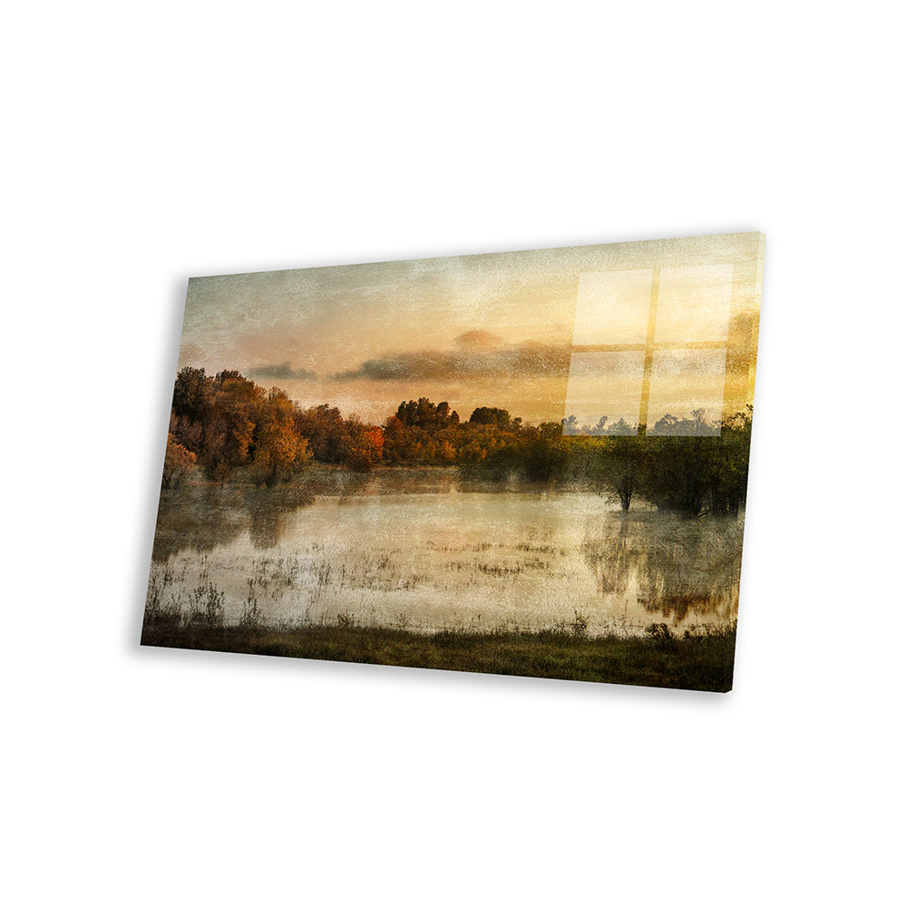 Wildon Home® " Spring Wetlands " by Don Schwartz | Wayfair