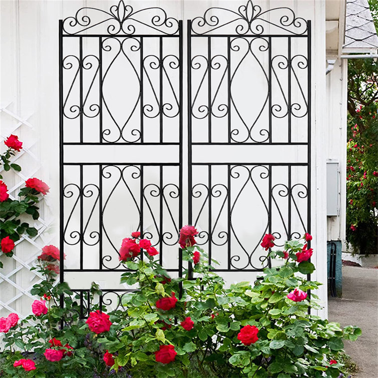 ClassicLiving Otmar 182cm H x 2cm W Metal Fan Trellis | Wayfair.co.uk