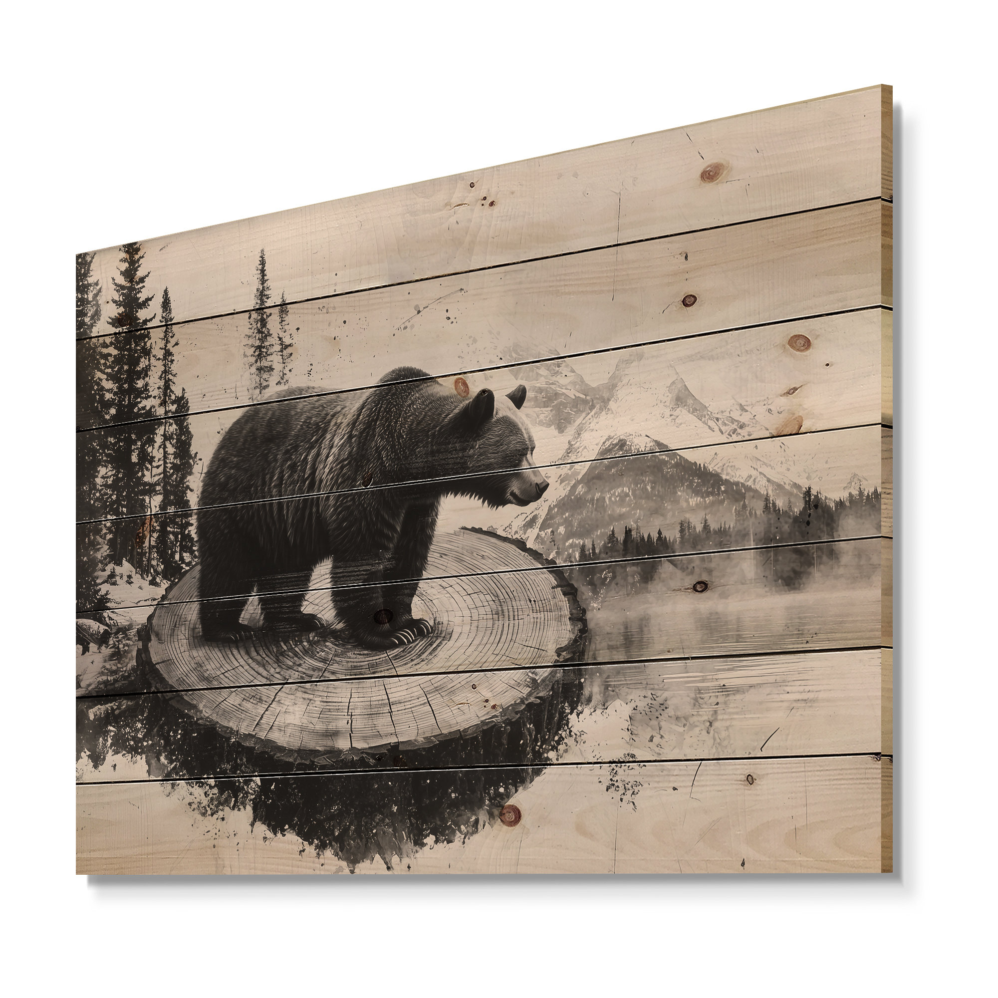 Millwood Pines Bear Into A Monochrome Forest Landscape - Bear Wood ...