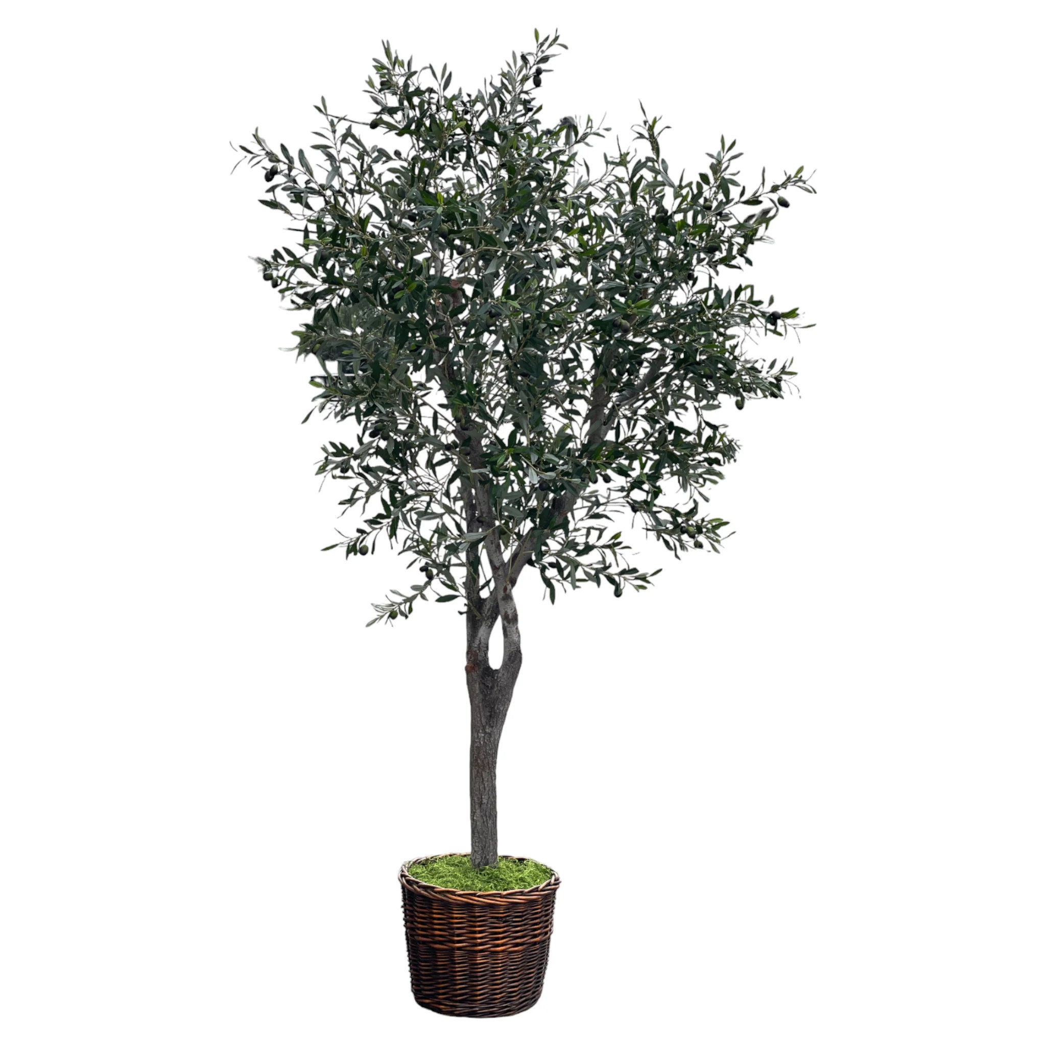 Wildon Home® Mediterranean Artificial Olive Tree With Real Mountain ...