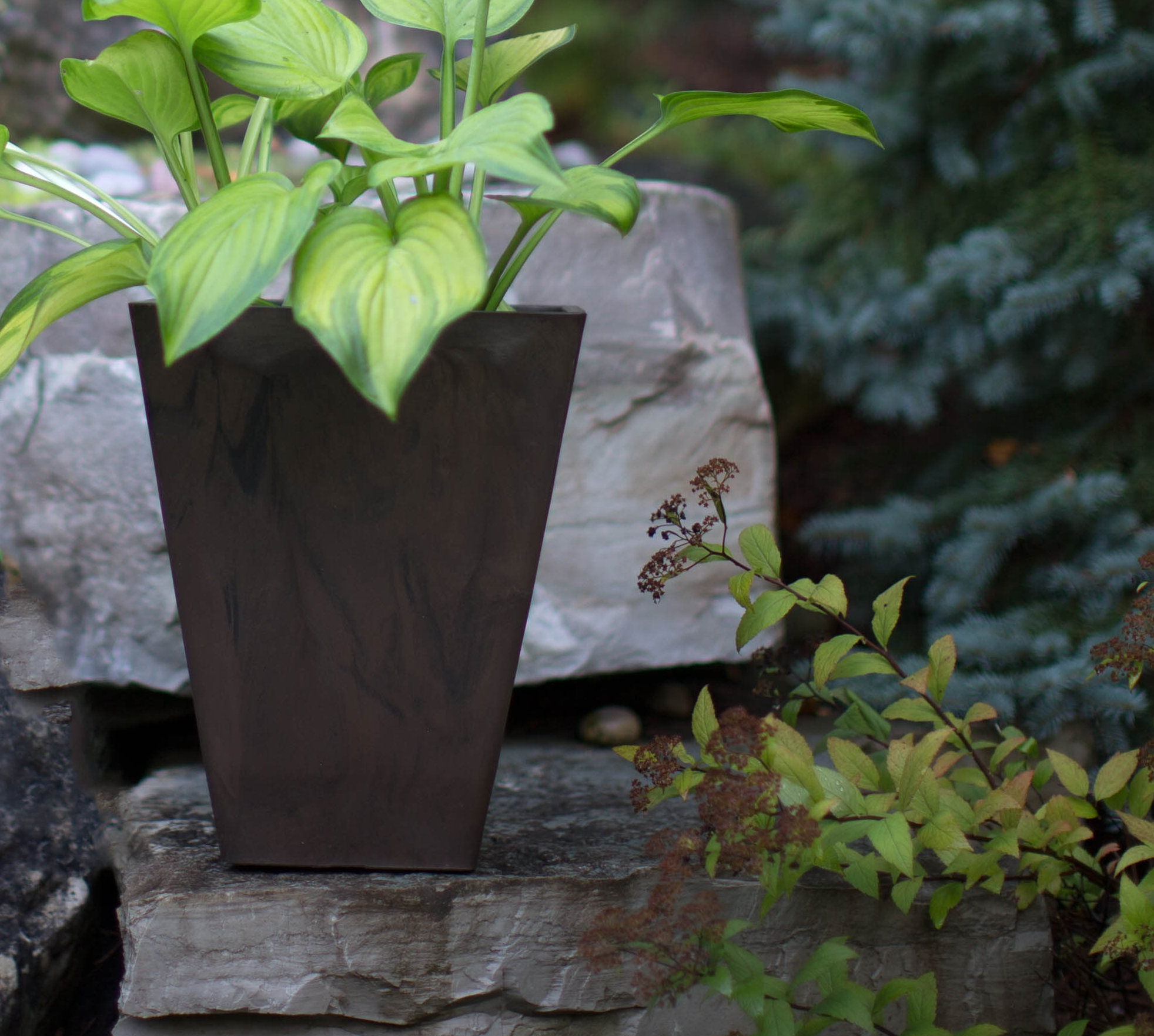 Charlton Home® Cara Composite Pot Planter with Watering Tray & Reviews ...