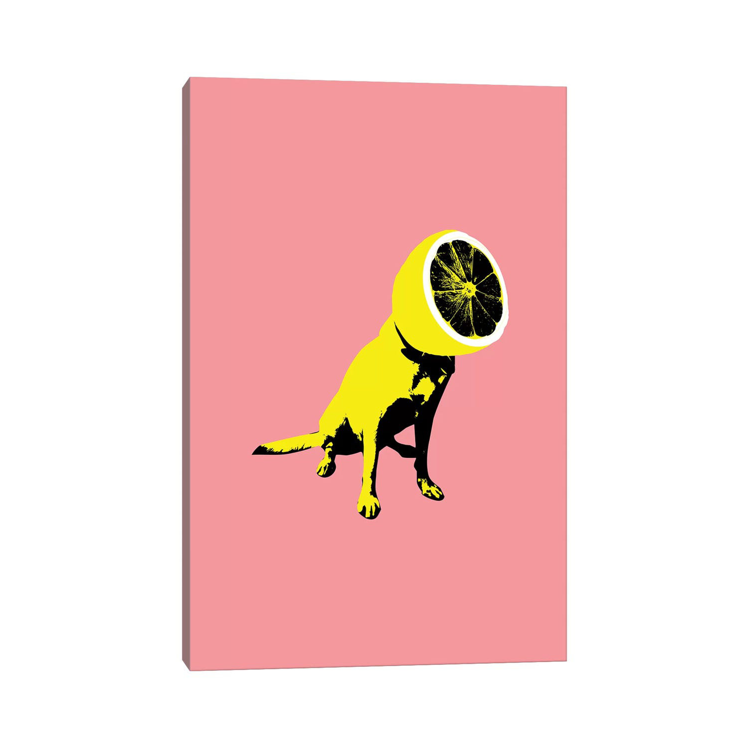 Happy Larry Lemon by Ali Gulec - Wrapped Canvas Art Prints | Wayfair.co.uk