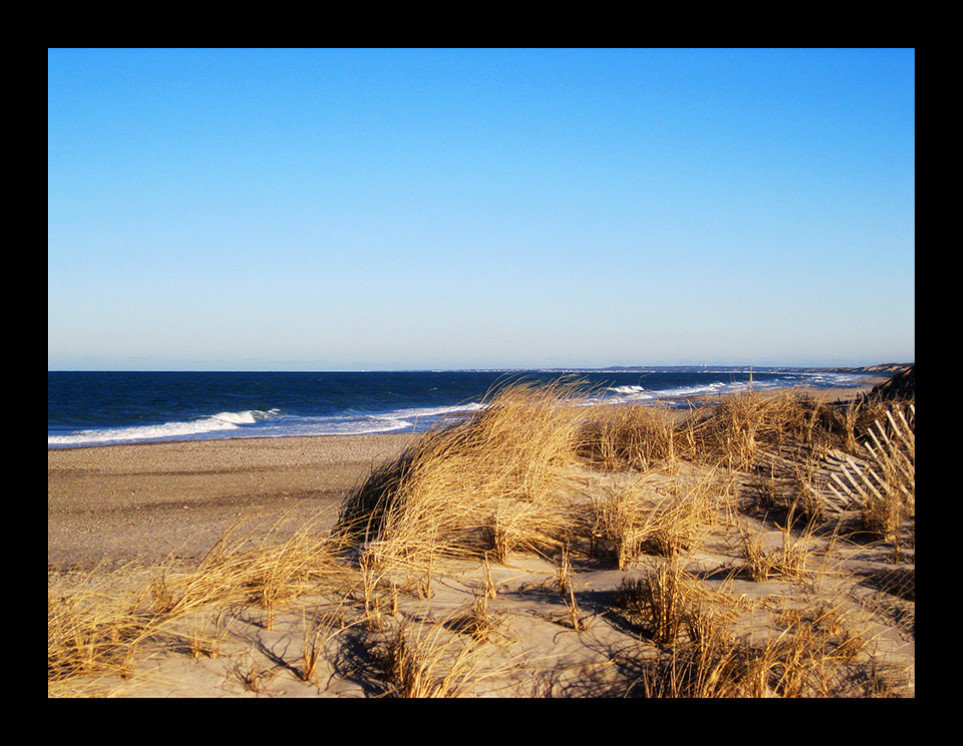Buy Art For Less 'Cape Cod Beach' by Joseph Condon Framed Photographic ...