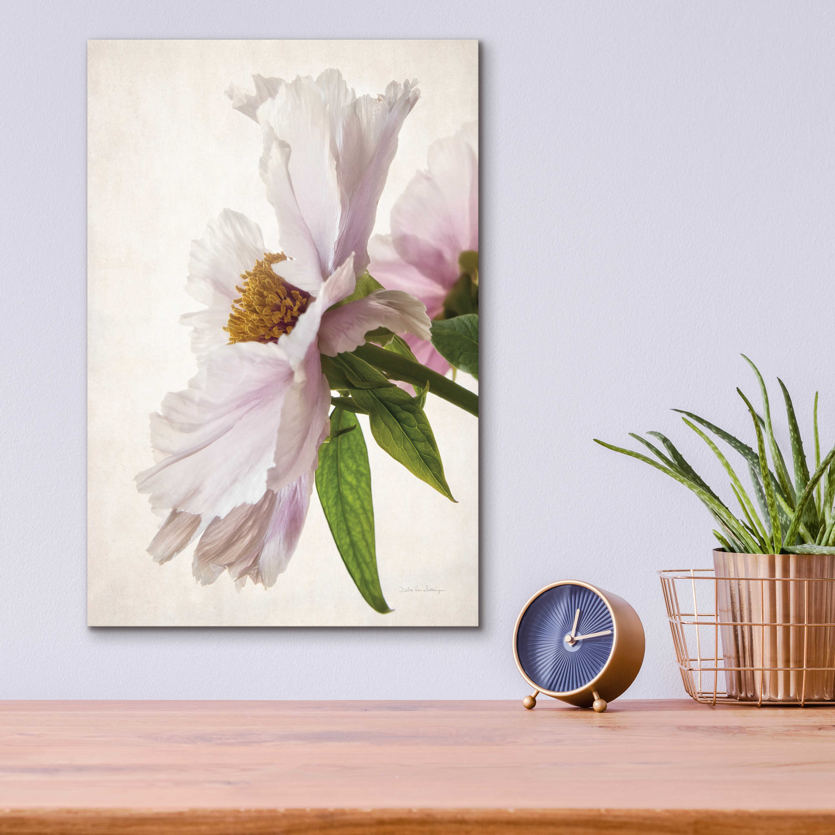 Red Barrel Studio® ''Translucent Peony IV'' By Debra Van Swearingen ...