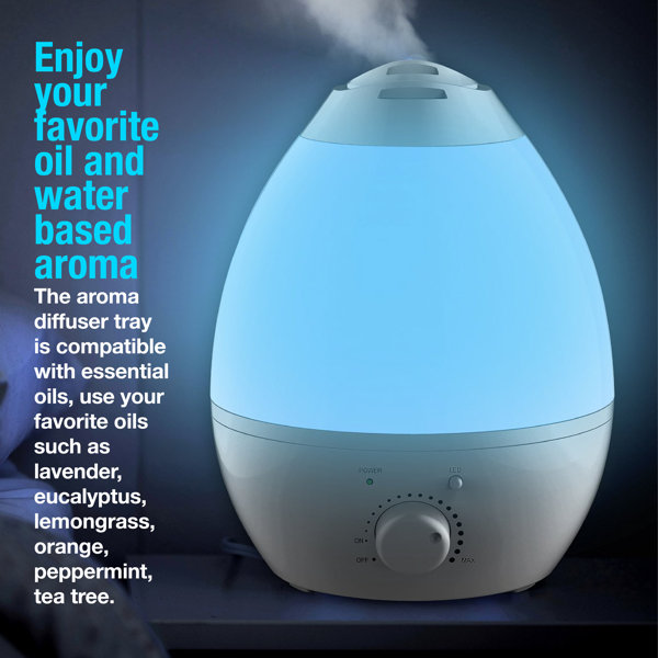 Bell & Howell 1 Gal. Ultrasonic Tabletop Humidifier & Reviews | Wayfair