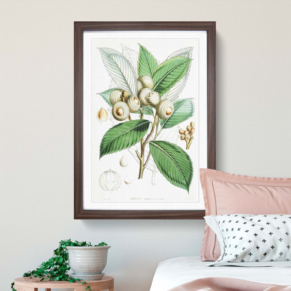 East Urban Home Himalayan Oak by W. H. Fitch - Picture Frame Painting ...