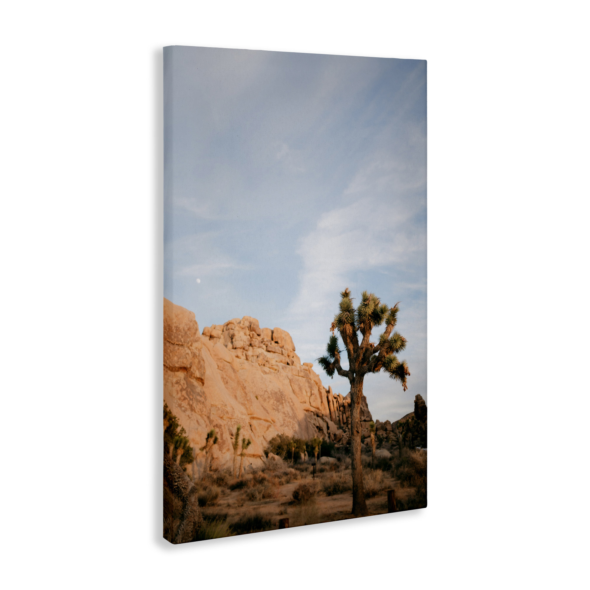 Hokku Designs Joshua Tree & Canyon Canvas, design by Jade Sharp Photo ...