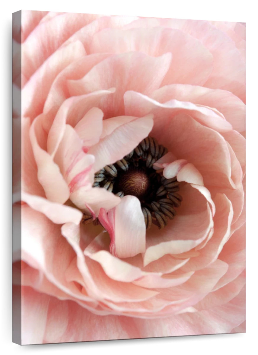 Lark Manor™ Harnek Big Pink Flower | Wayfair