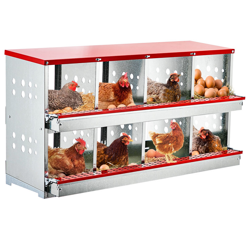 Archie & Oscar™ Nesting Boxes For Chickens, 6 Compartments Roll Out ...