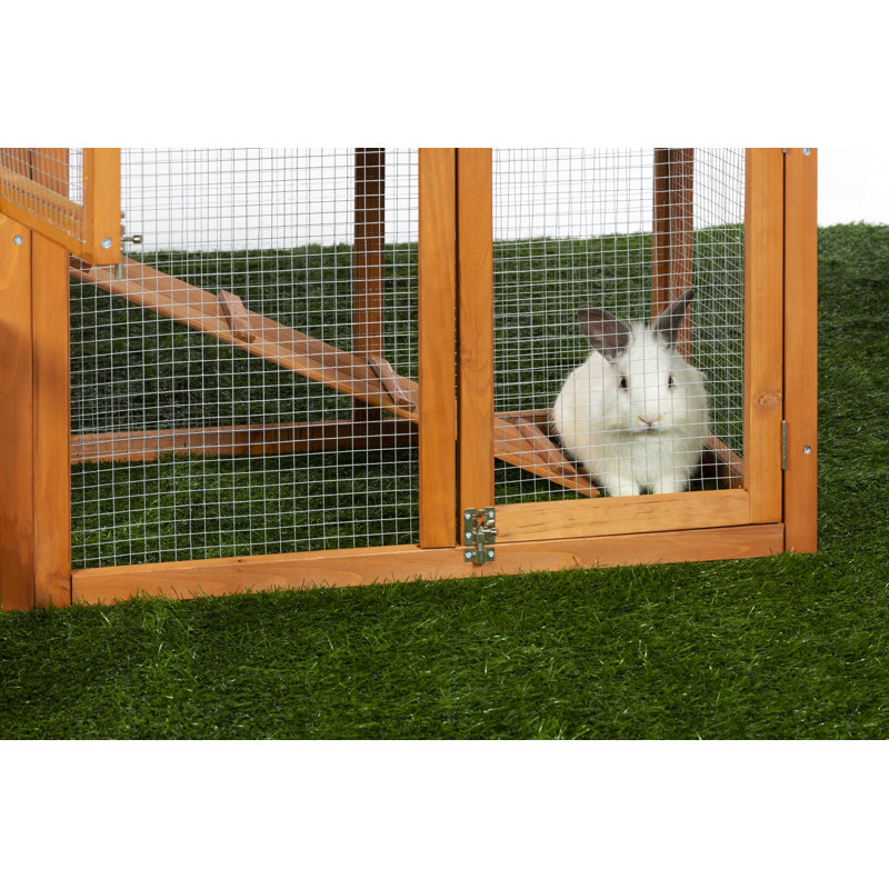Archie & Oscar™ Lovern Weather Resistant Rabbit Hutch with Ramp | Wayfair
