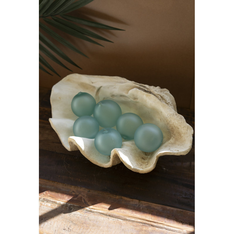 The Holiday Aisle® Giant Resin Clam Shell | Wayfair