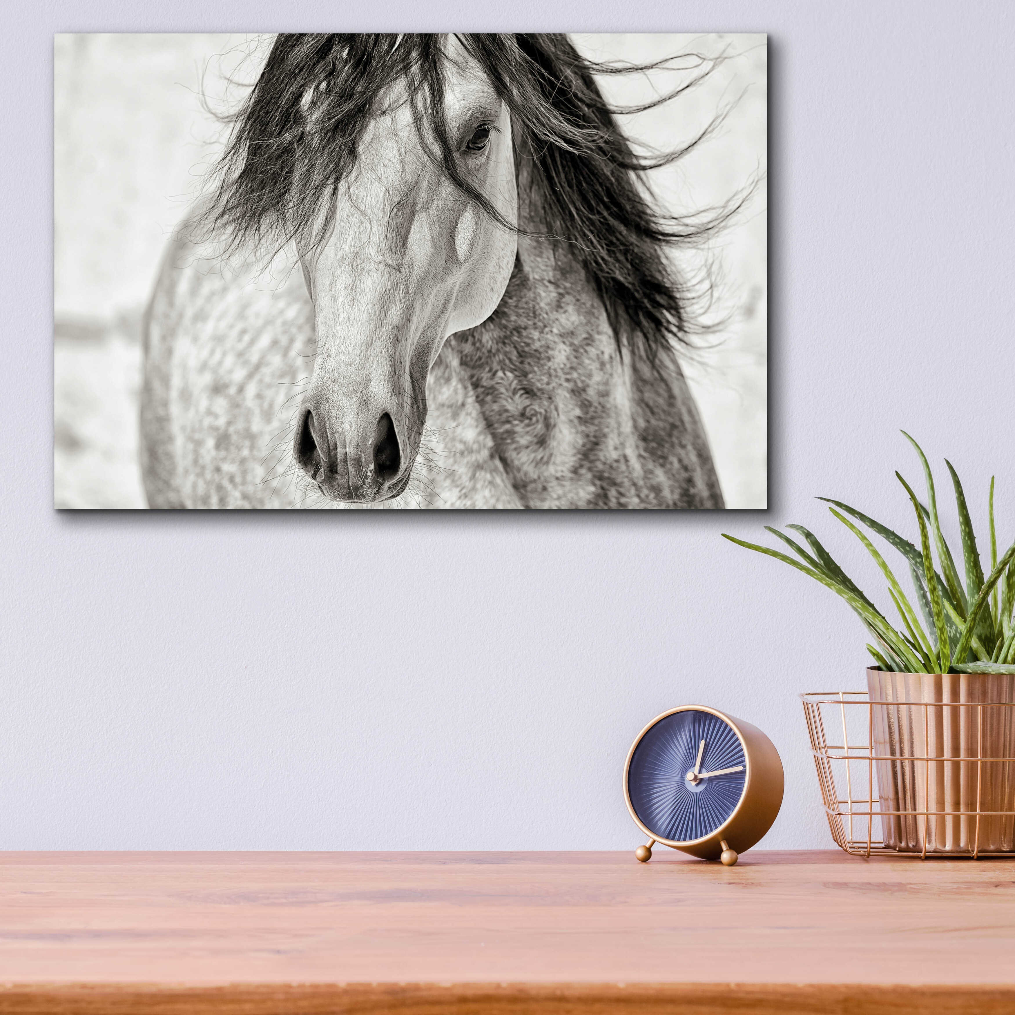 Union Rustic Epic Art 'My Beautiful Mane' My Beautiful Mane by Lisa ...