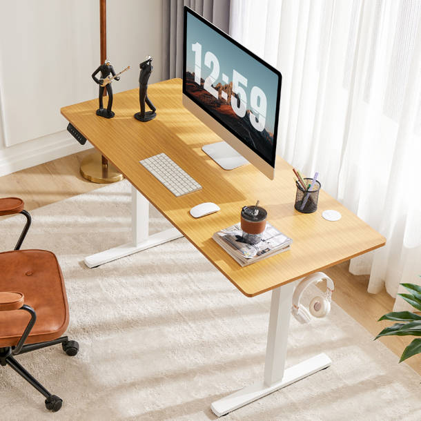 Inbox Zero Valenzuela Fitness Seat,ADHD Chair Stool for Stability ...