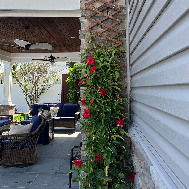 Lark Manor Pack of 2 Extra Thick Wooden Wall Trellis- Expandable Wall ...