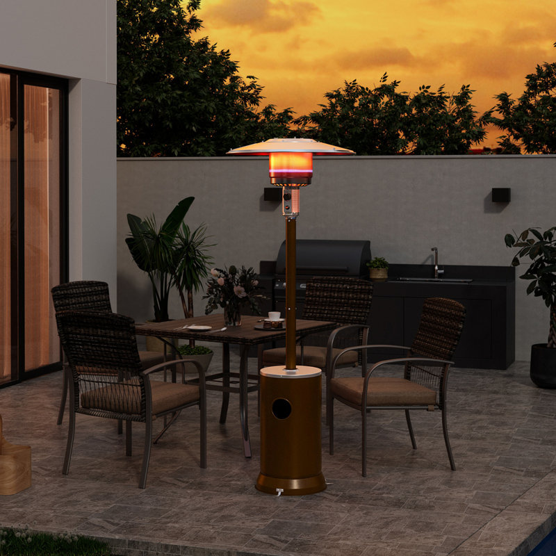 PAMAPIC 48000 Propane Standing Patio Heater & Reviews | Wayfair