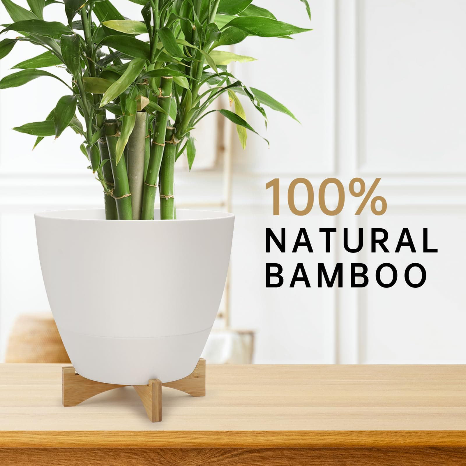 Ebern Designs Bamboo Wood Stand for Plants | Wayfair