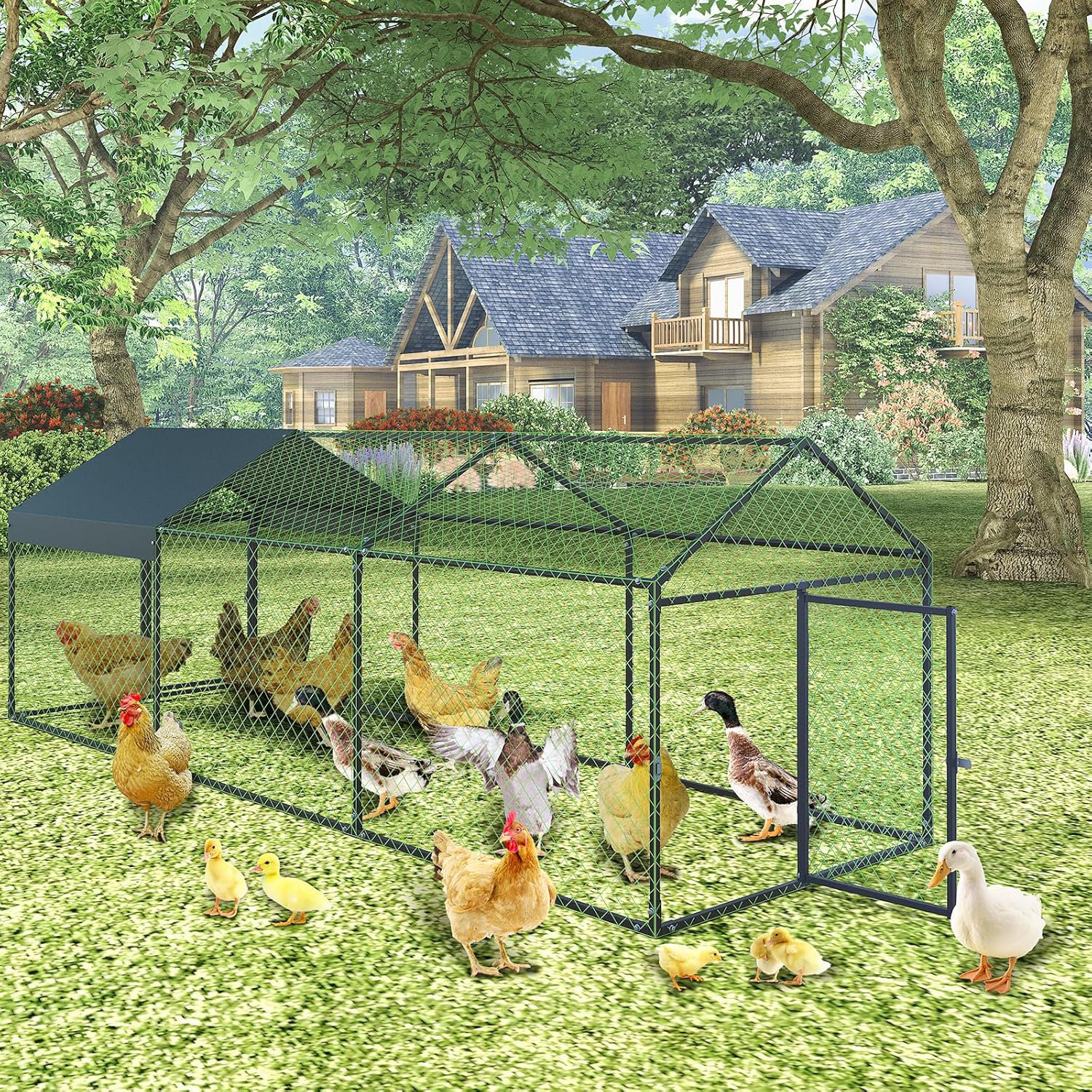Blue Elephant Walk In Chicken Run | Wayfair.co.uk
