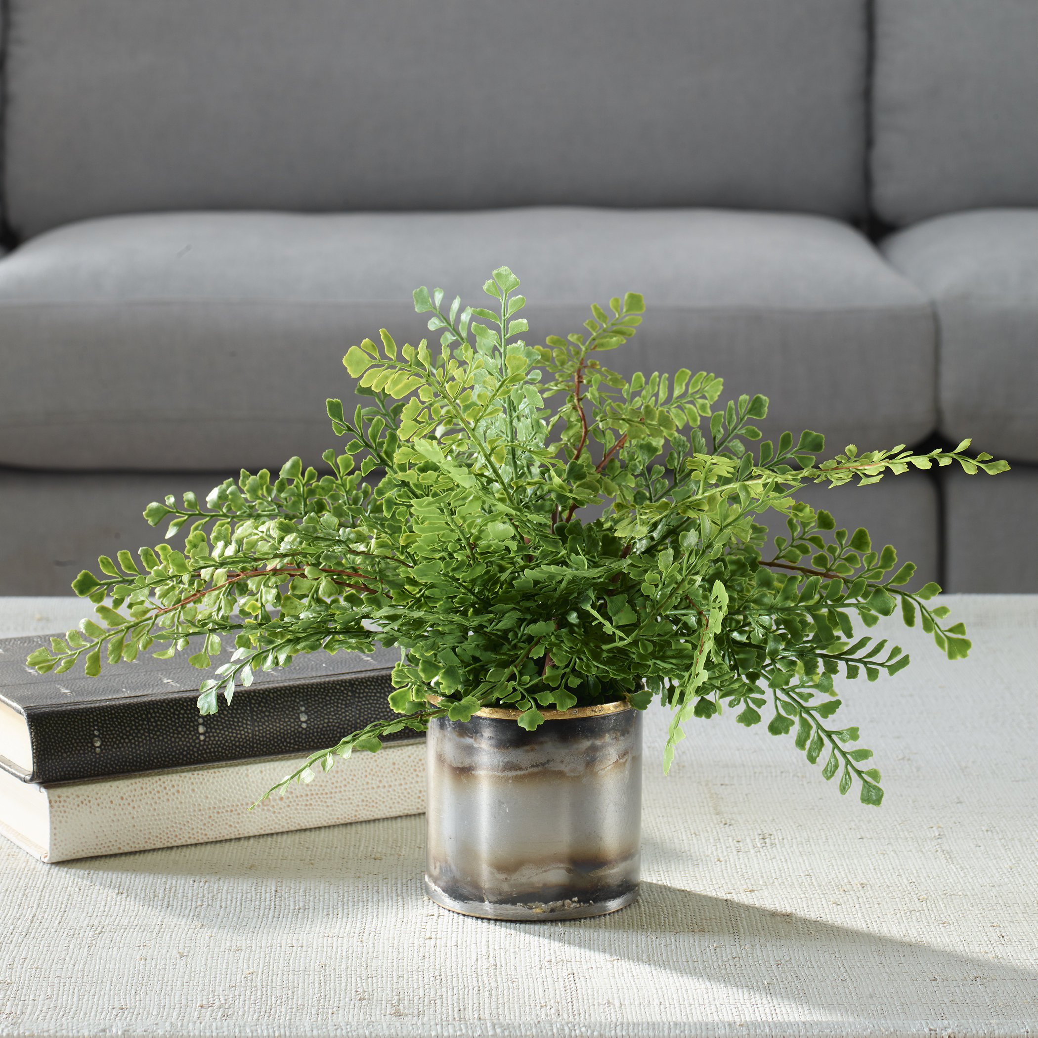Ivy Bronx Minella In Oxidized Container | Wayfair