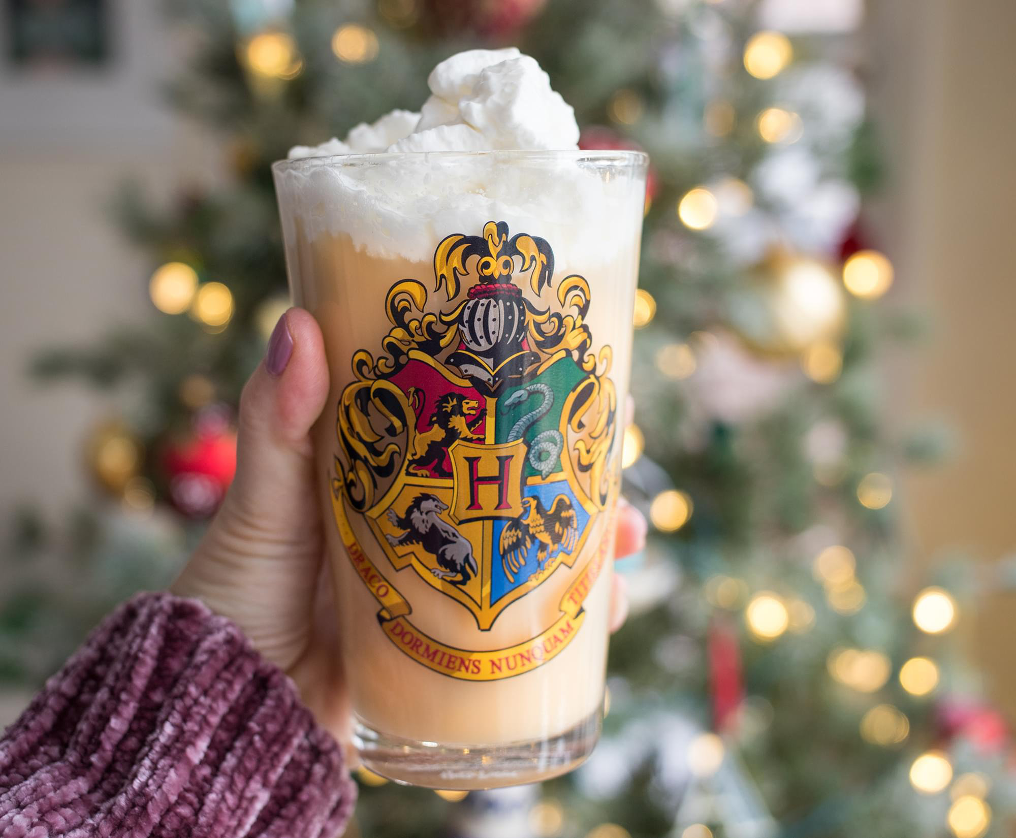 Silver Buffalo Harry Potter Hogwarts Pint Glass And Platform 9 3/4 Mug ...
