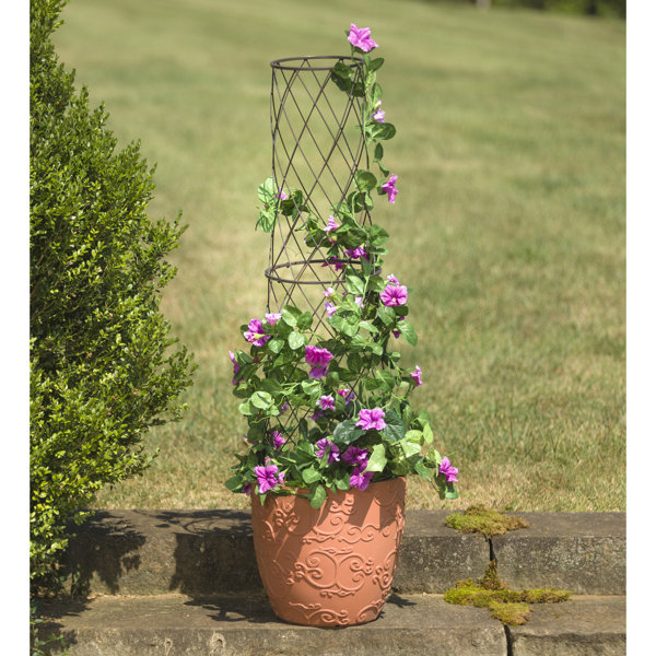 Arlmont & Co. 40"H Metal Planter/Pot Trellis | Wayfair