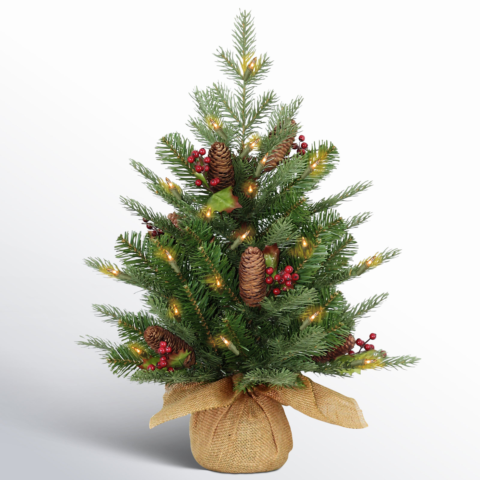 National Tree Company 2ft. Nordic Spruce Tree with LED Lights & Reviews ...