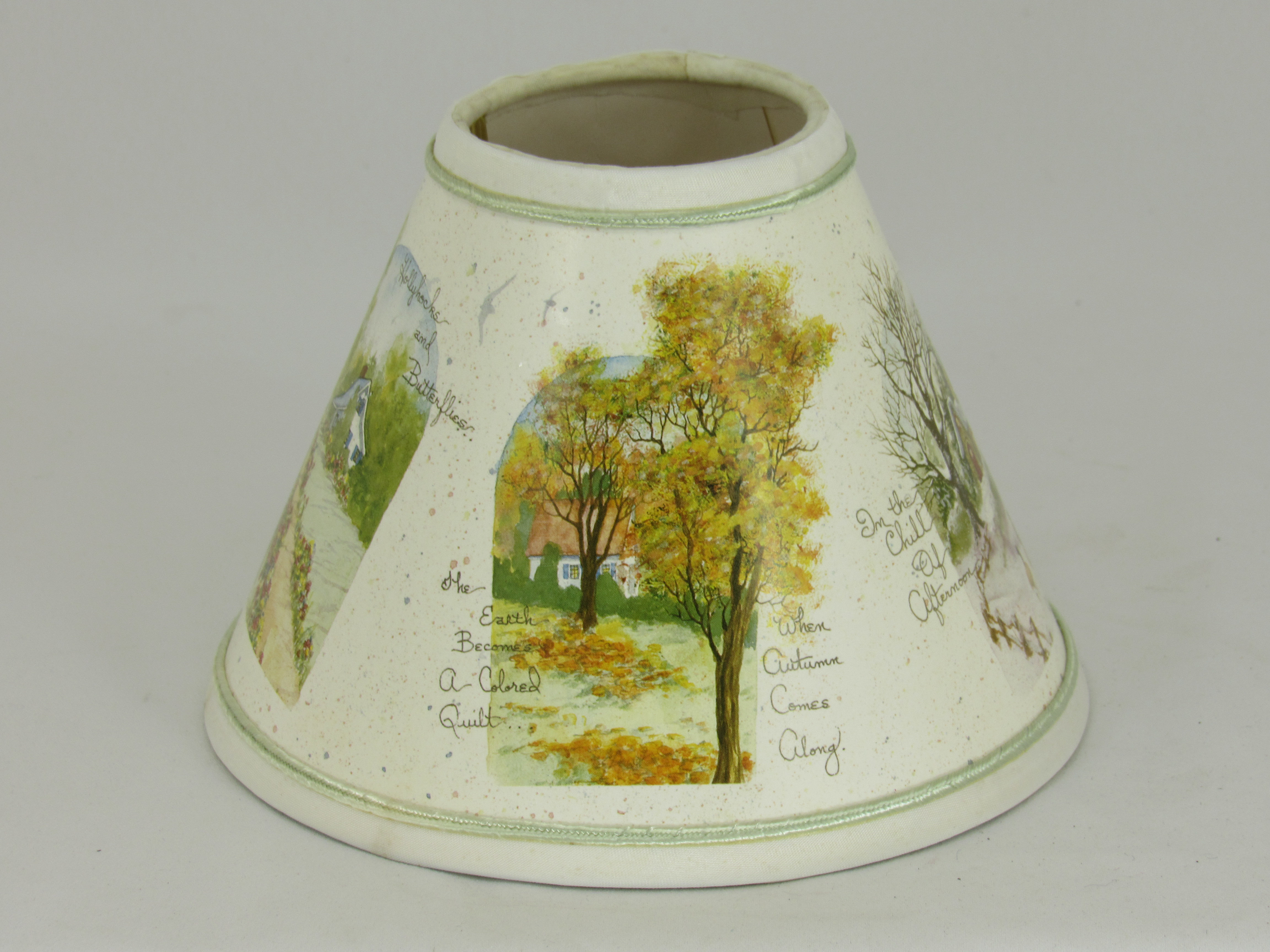 August Grove 10" H 4 seasons Paper Empire Lamp Shade ( Spider ...