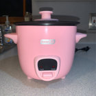 Dash 2 Cup Mini Rice Cooker & Reviews | Wayfair
