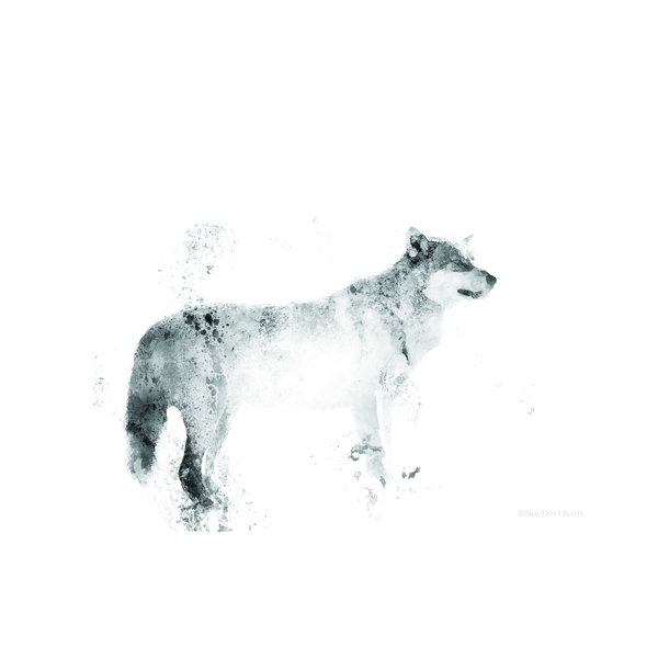 Winston Porter Painted Wolf On Canvas Print - Wayfair Canada