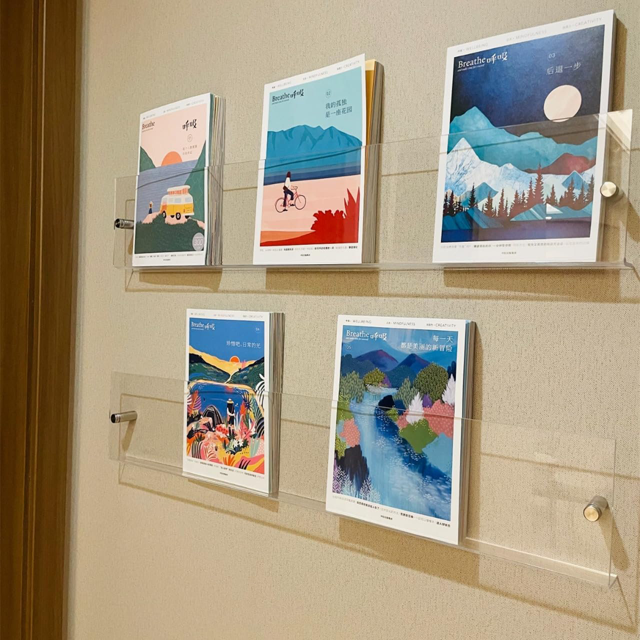 BONLOD 2-Pack Acrylic Magazine Holder Vinyl Records Holder Display ...