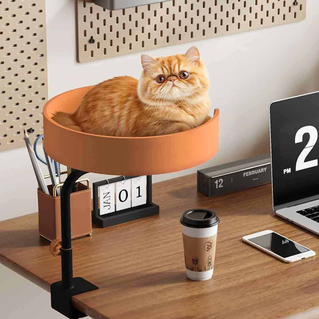 Stunver Cat Bed Desk Nest With Teaser,Easy Installation Shelf,Sturdy ...