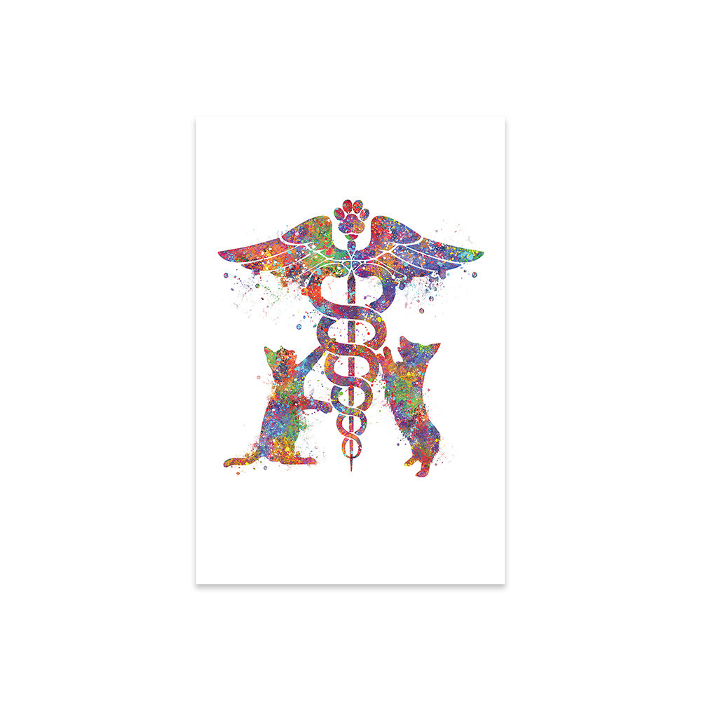 iCanvas Caduceus Vet Cat Print On Acrylic Glass - Wayfair Canada