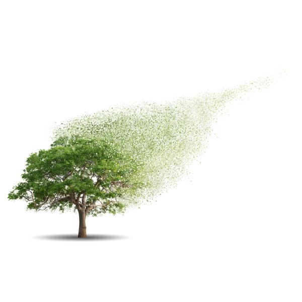 Latitude Run Tree by ValentynVolkov - Wrapped Canvas Print | Wayfair.co.uk