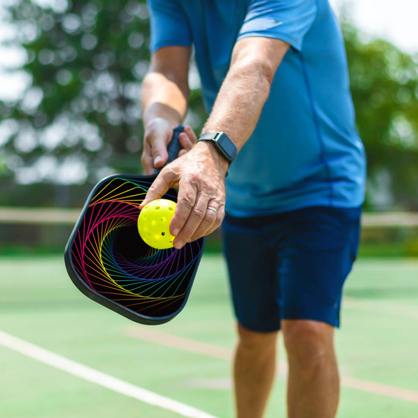 Bring Home Furniture Plastic Pickleball with Carrying Case - Wayfair Canada