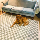 Walker Performance Rug & Reviews | AllModern