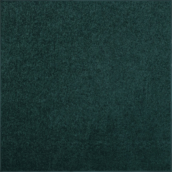 Latitude Run® Forest Green Area Rug - Wayfair Canada