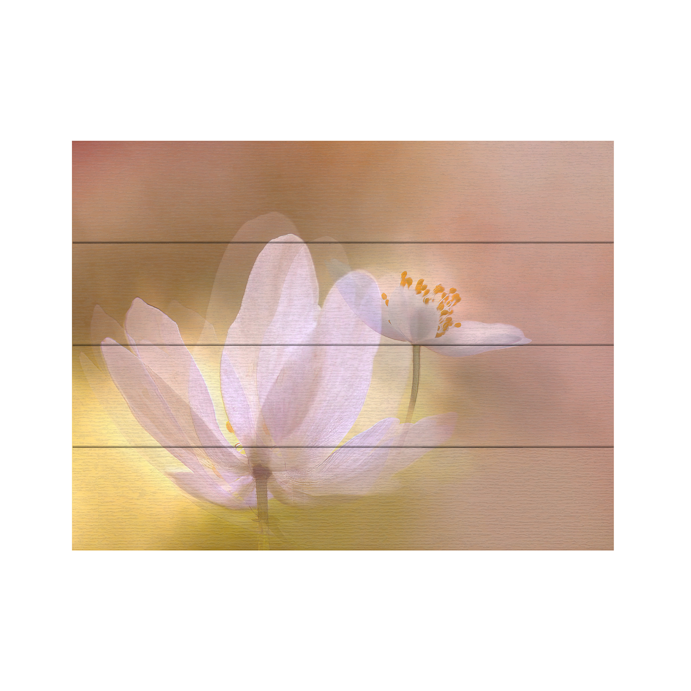 Winston Porter Ylva Sjogren A Wordless Language Wood Slat Art - Wayfair ...