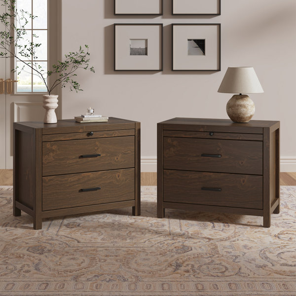 Ebern Designs Avedikian 26.5"H Modern 2-Drawers Nightstand with Solid ...