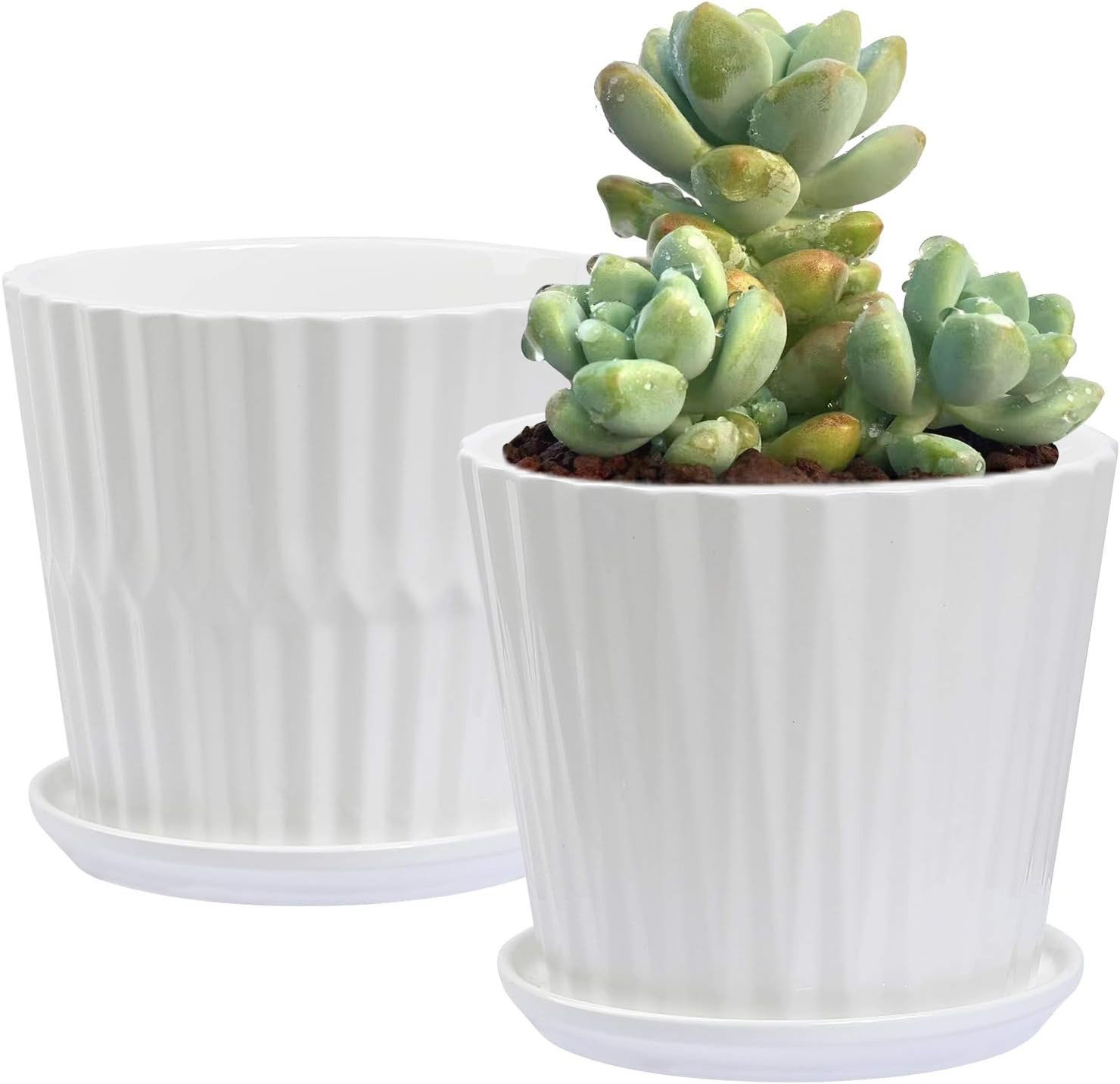 Stock Preferred Ceramic Plant Pots With Connected Saucer Set Of 2 | Wayfair